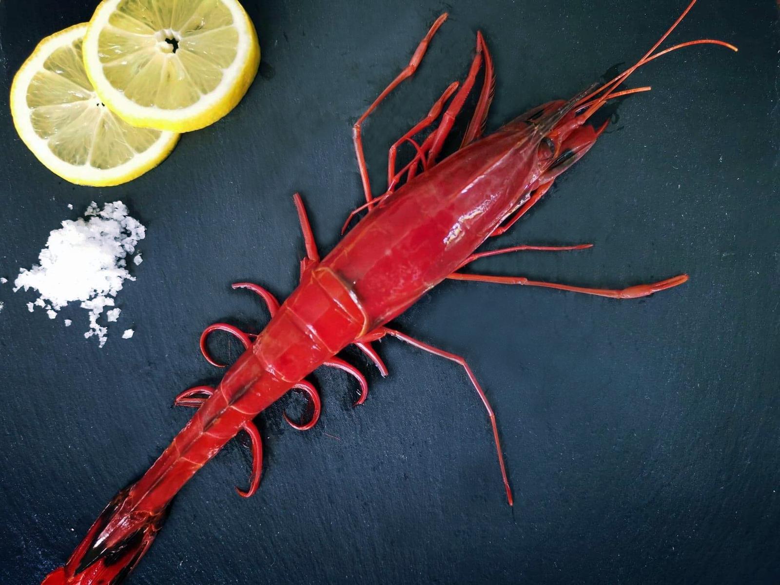 Scarlet Prawns (Carabineros) – Hairy Crab At Home