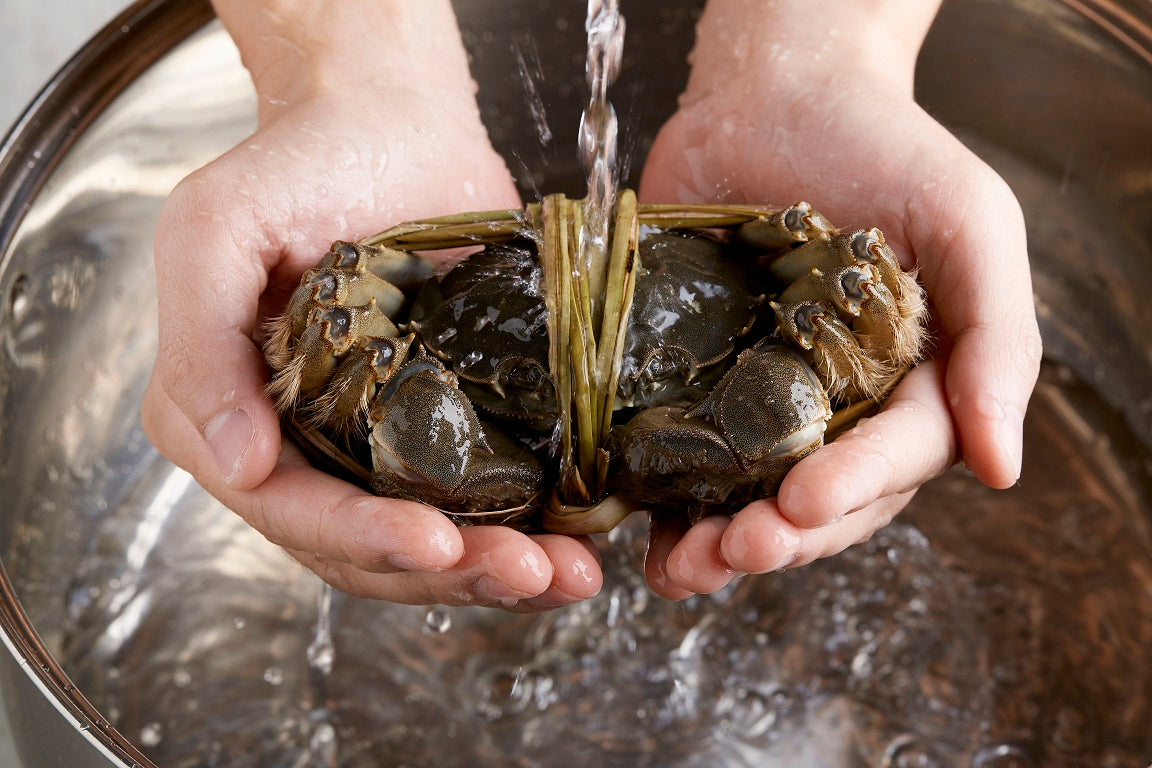 Cooking Guide V2 – Hairy Crab At Home